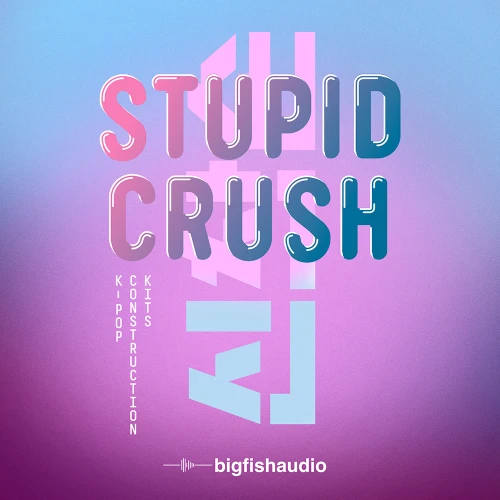 Stupid Crush: K-Pop Construction Kits by Big Fish Audio - Music ...