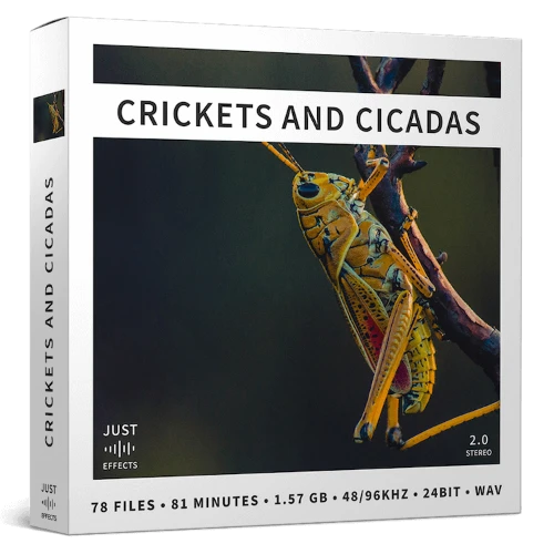 Crickets and Cicadas - Music Software Deals